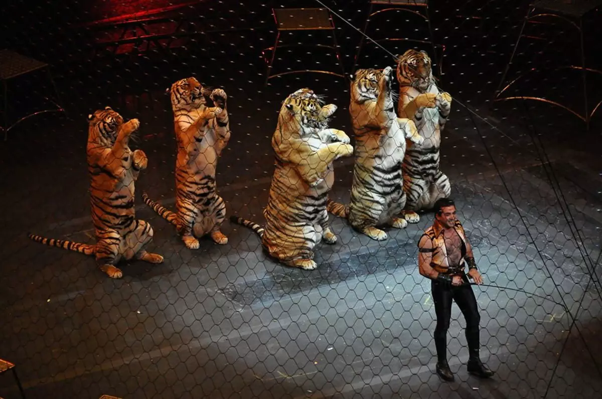 En Irlanda e Italia dejará de utilizar animales en los circos