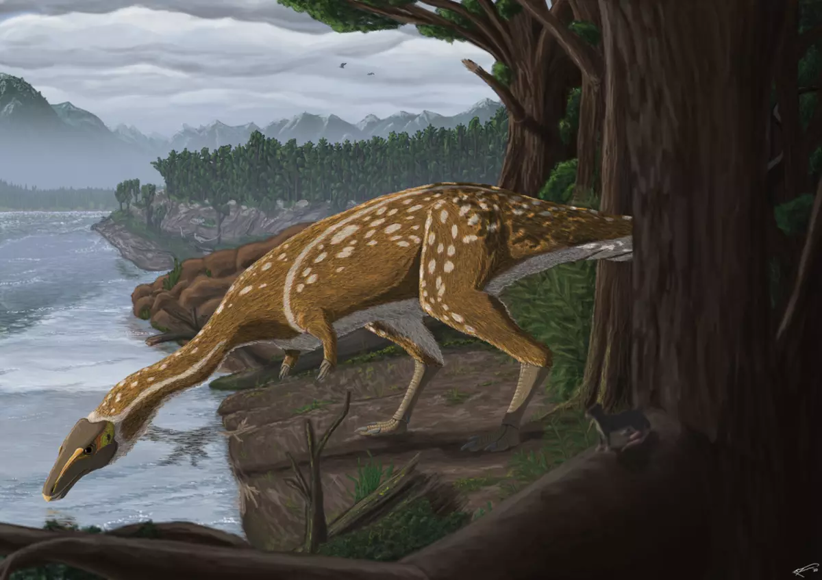 Bratranec T. Rex s dlhými krkmi nachádzajúcimi sa v Austrálii