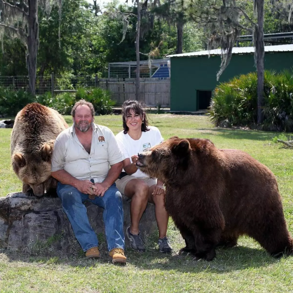 14 Bears in the Backyard: เรื่องราวของครอบครัวที่ผิดปกติ