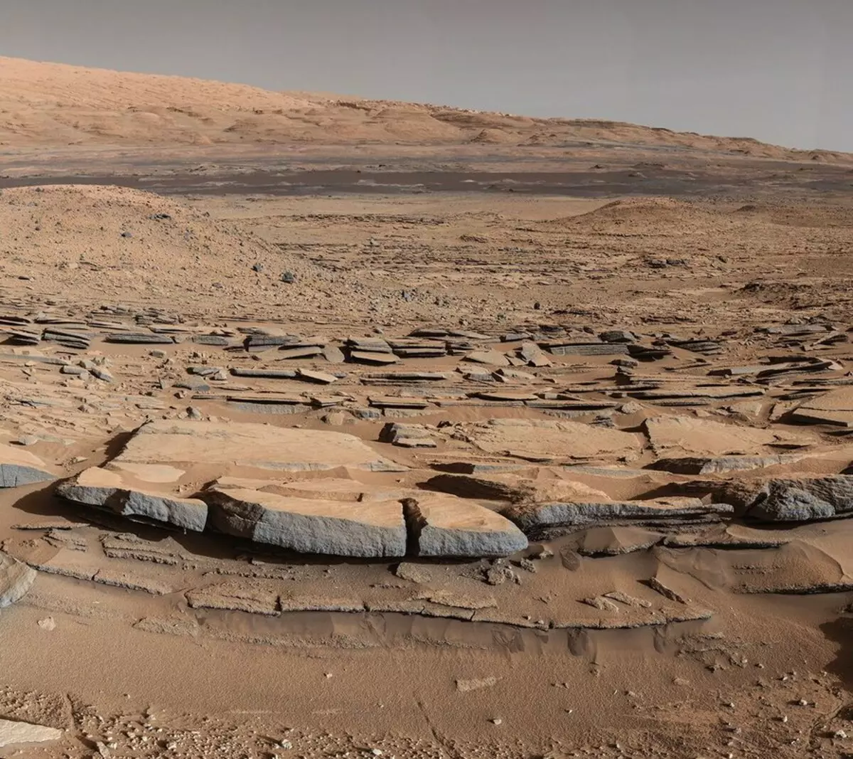 NASA Mars gadymy kölleri berdi