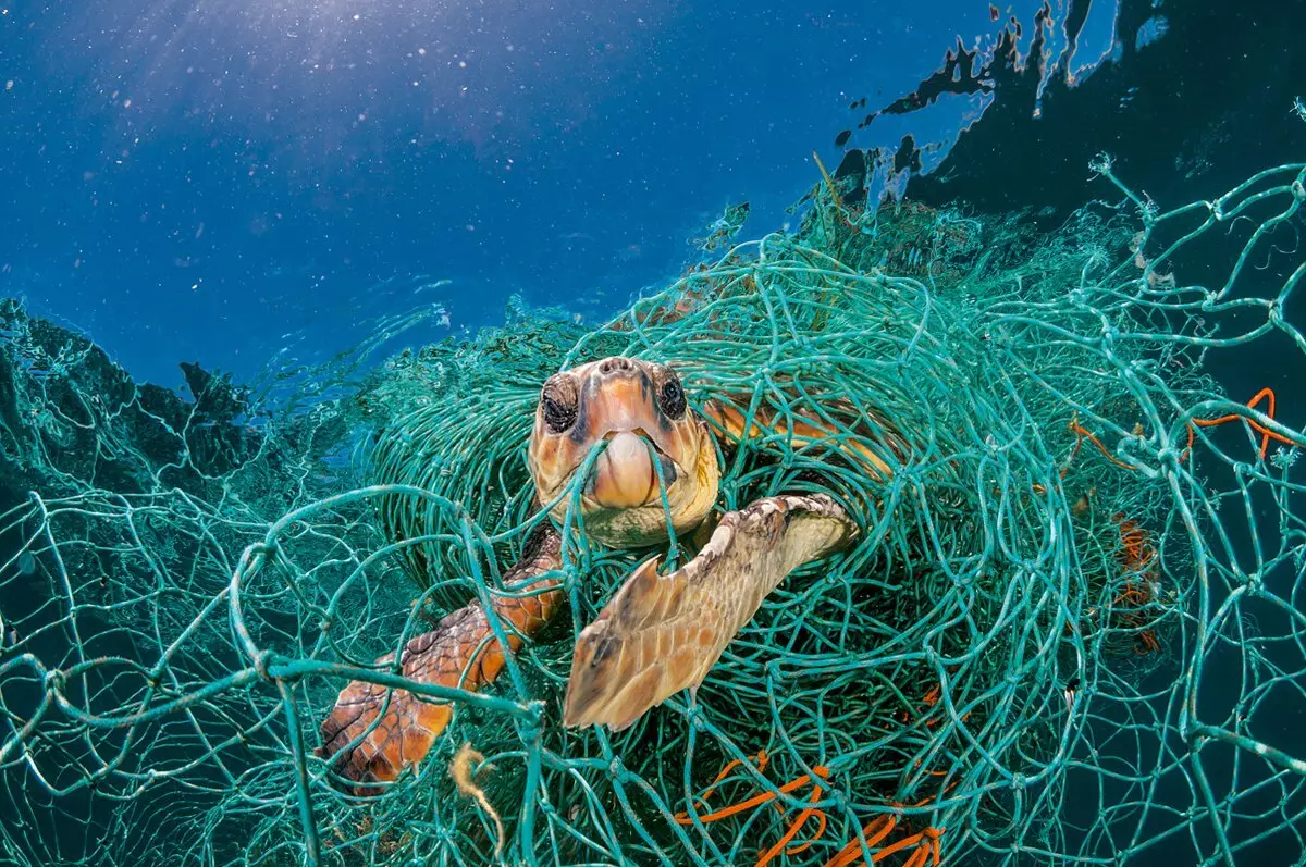 プラスチック：世界の大洋の呪い