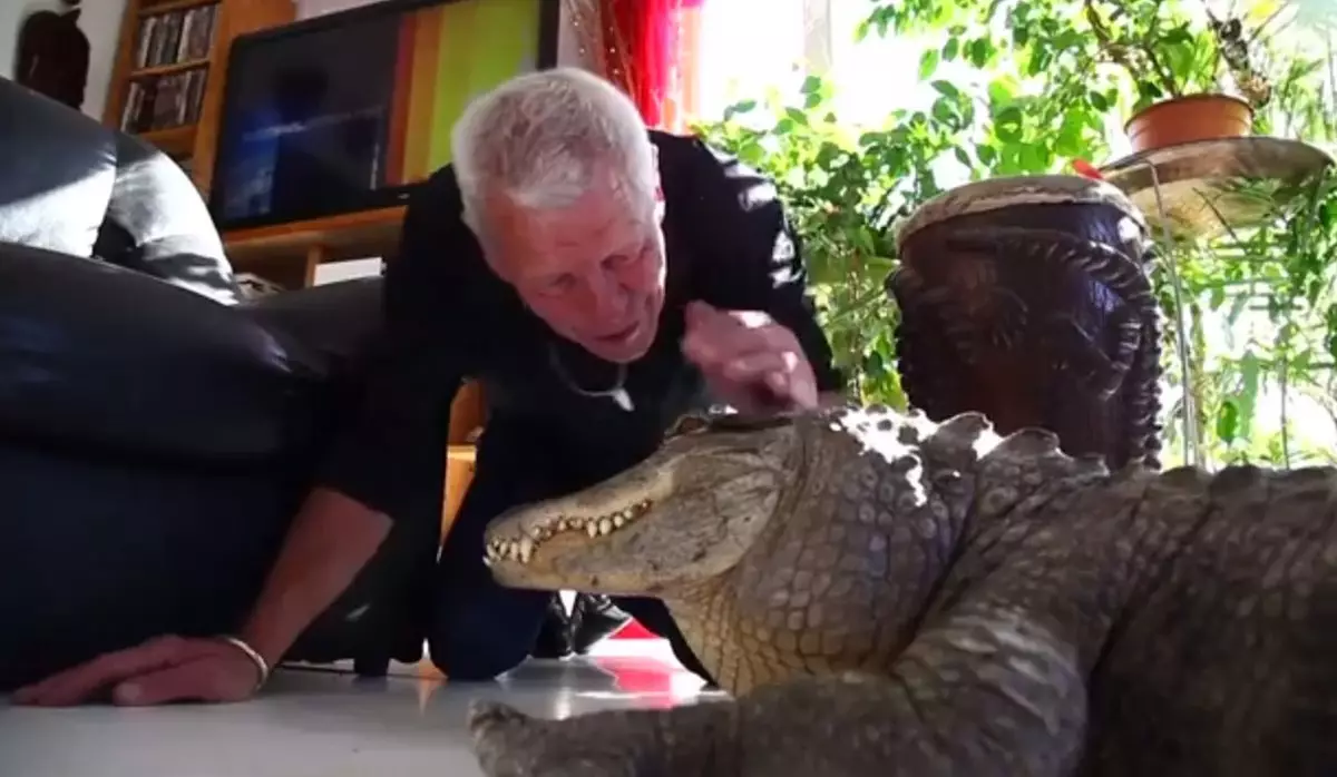 Perancis nahan 400 reptiles: Video