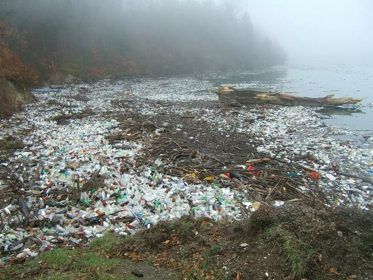 પ્લાસ્ટિક - કોઈ! યુરોપમાં, નિકાલજોગ વાનગીઓ બંધ કરવામાં આવશે