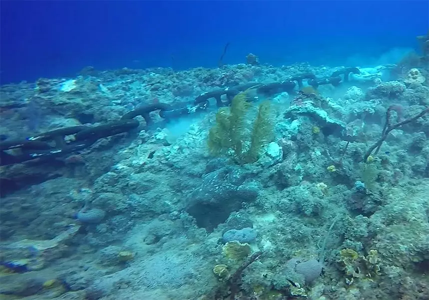 Video: Olee ụgbọ mmiri na-ebibi coral kpụkọtara ọnụ