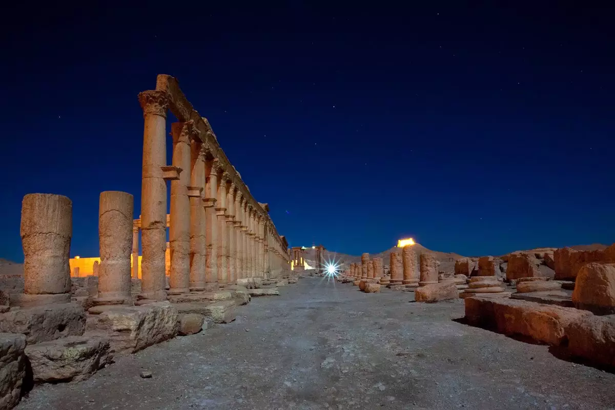 ბოლო დღე Palmyra