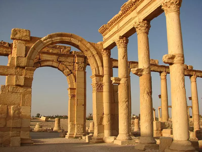 Палмирадагы окумуштуулардын согушкерлери аткарылды