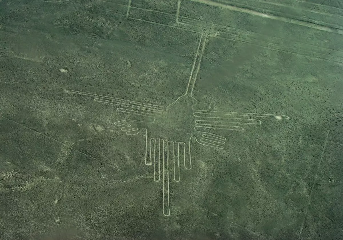 New old geoglyphs found on the plateau of Naz