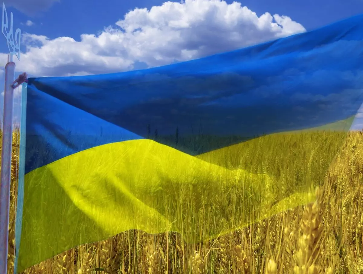 Ukrainasit duan të ndryshojnë ngjyrat e flamurit