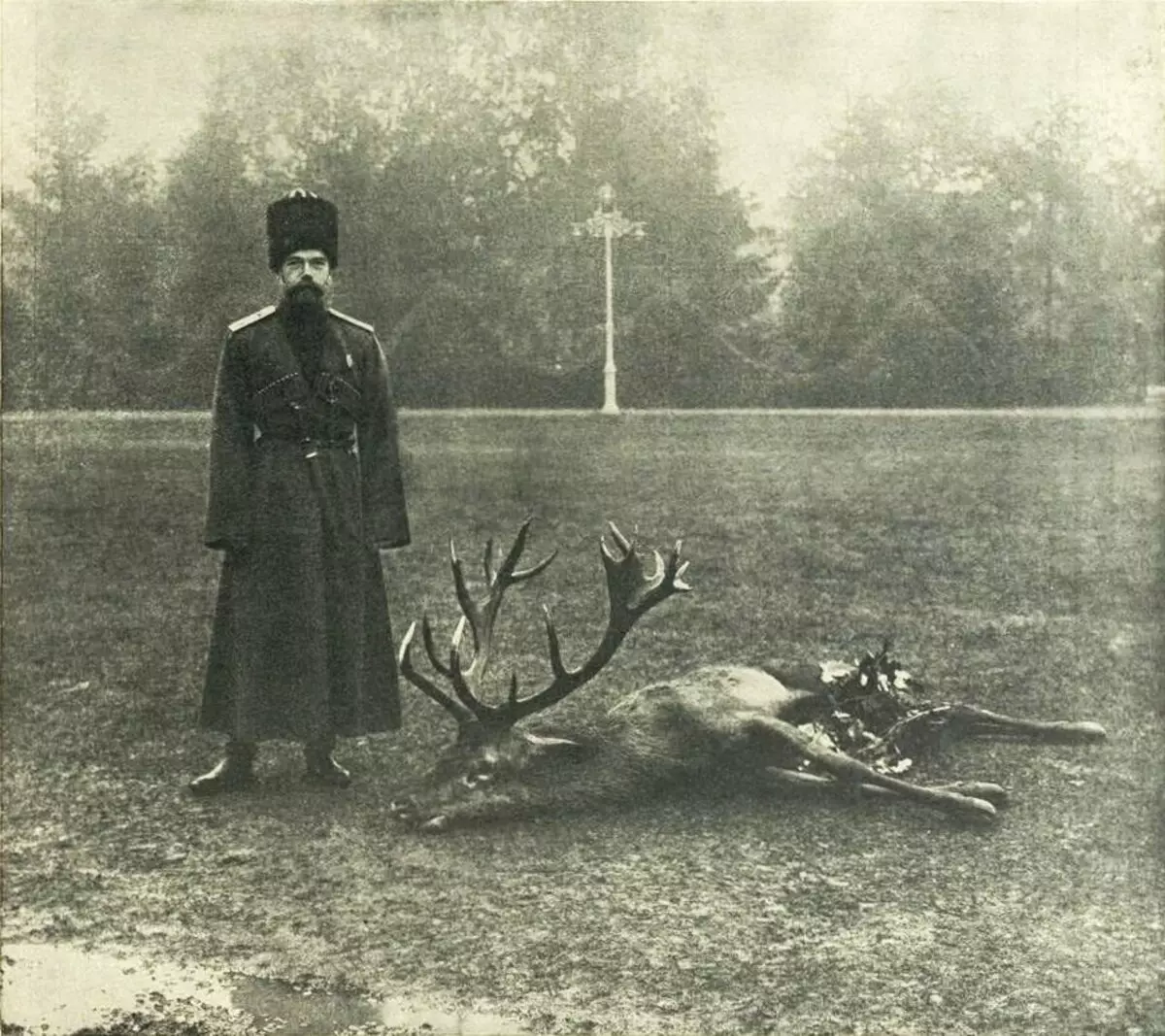 Pozostałości Nicholas II są stosowane z grobowca