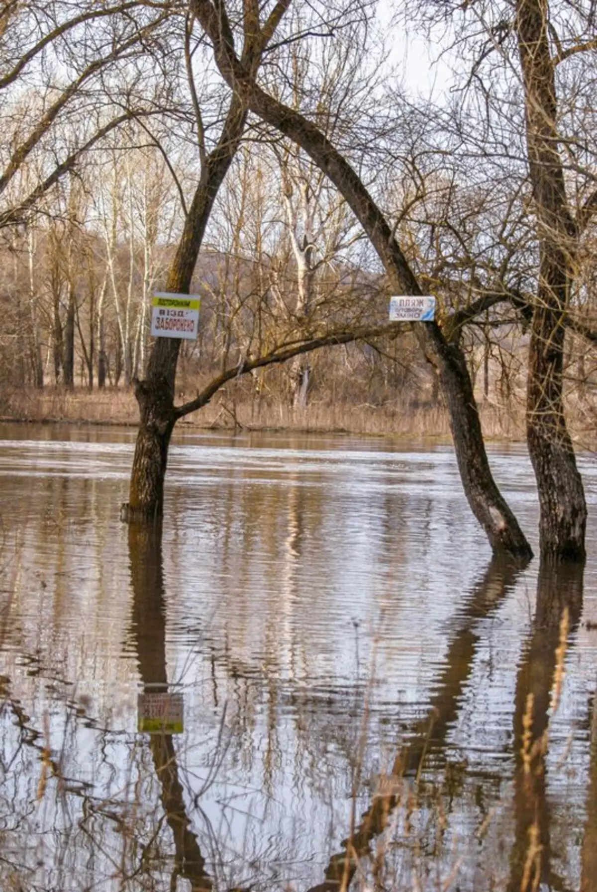 Översvämningar hotar den europeiska delen av Ryssland
