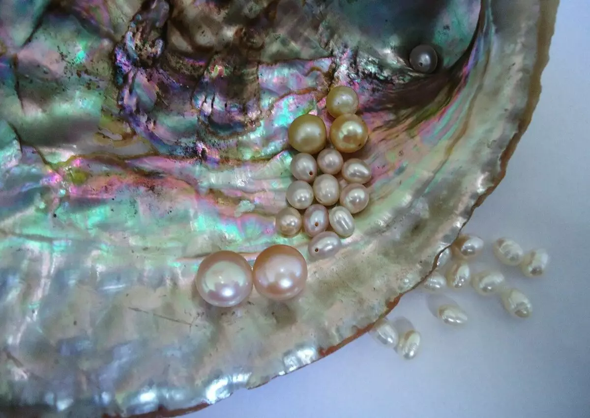 Wie Mollusks eine Perle erstellen