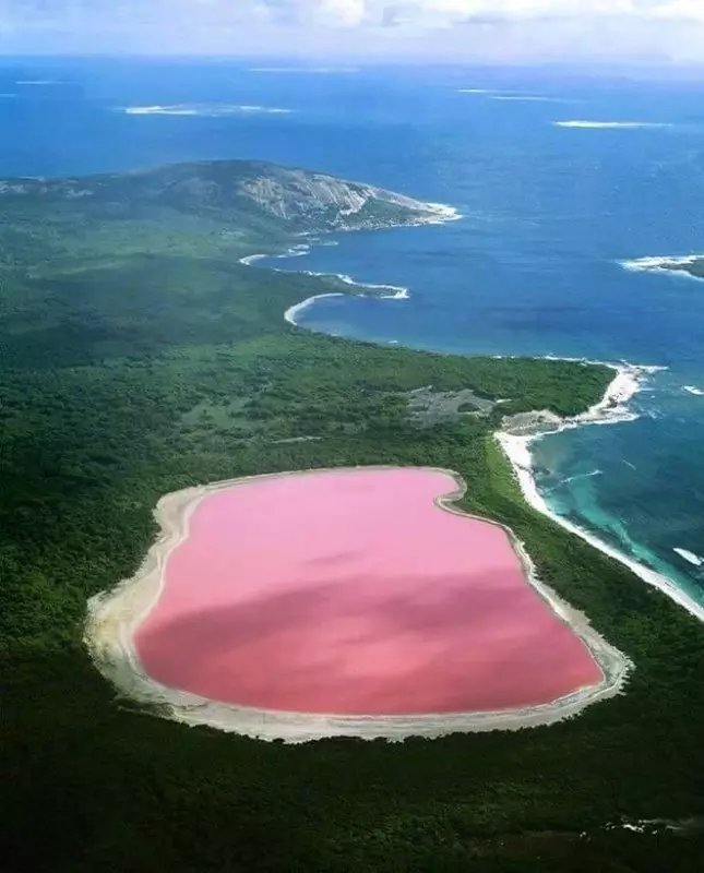 Hililer：ピンクの湖