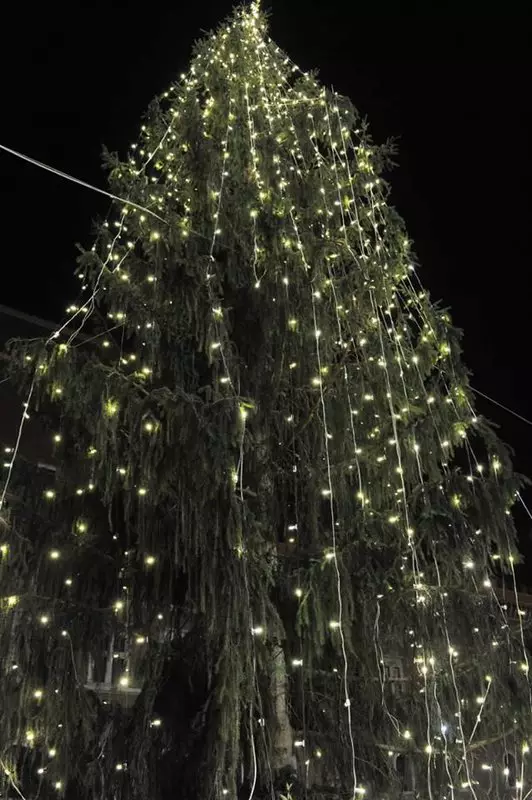 Roma'daki Noel ağacı tam bir başarısızlık olduğu ortaya çıktı