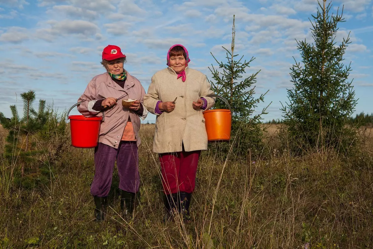 Državna duma priprema novi zakon o zbirci gljiva i bobica