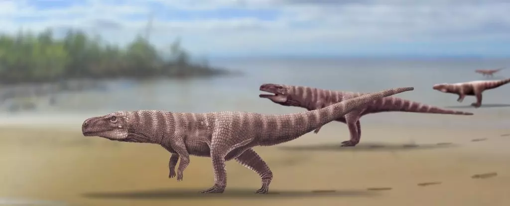 Древни следи са открити, които принадлежат на двукраките предците на крокодили