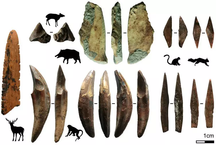Sri Lanka hittade pilar på 48 000 år