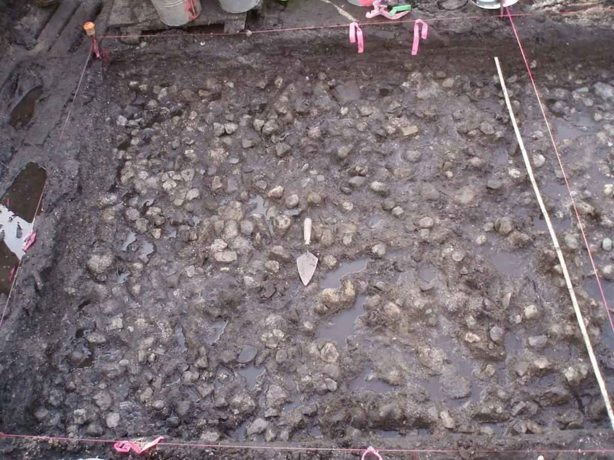 Kanada deyarli 4000 yil oldin ekilgan kartoshkani topdi