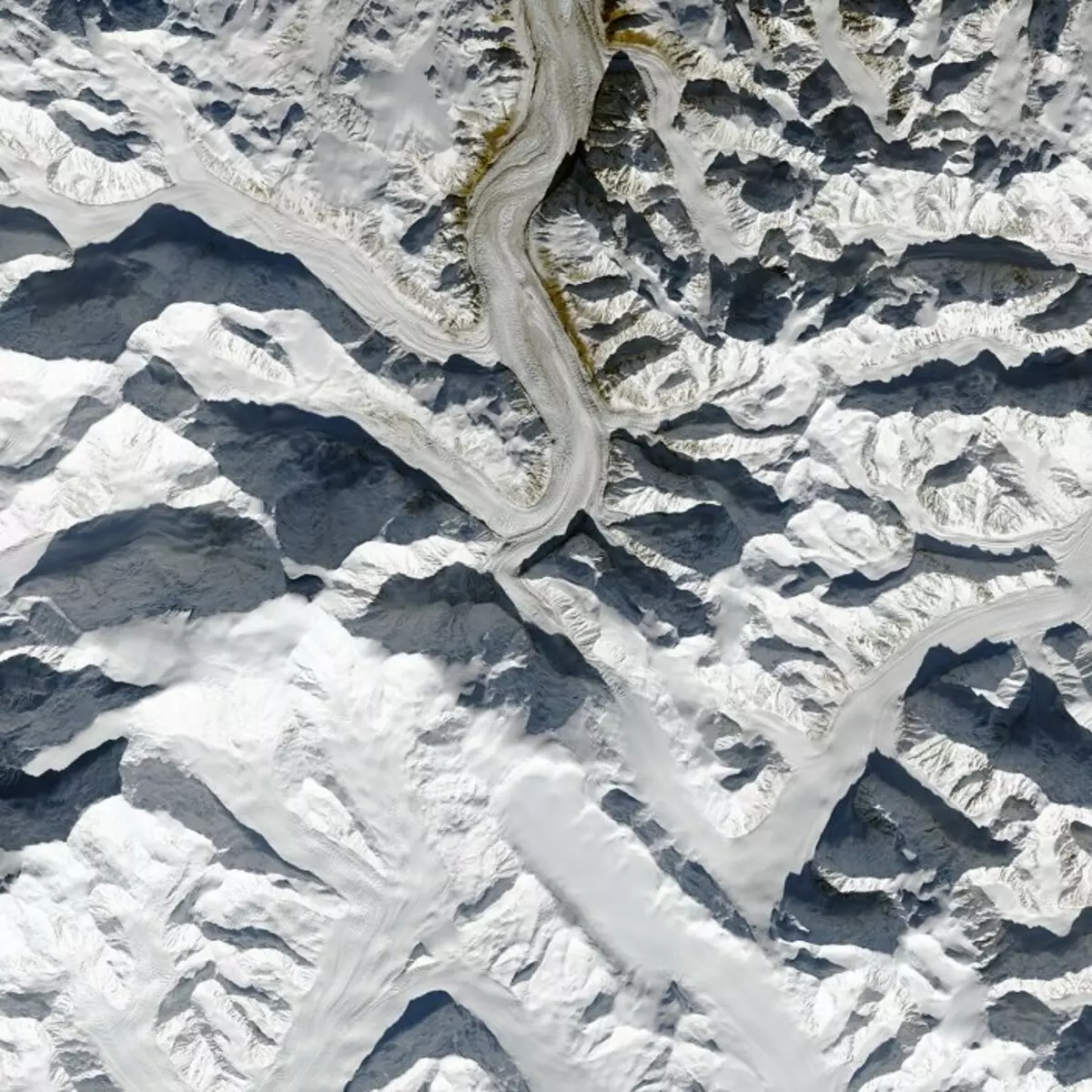 A les muntanyes de Canadà, una esllavissada de terra gegant es va acostar: Foto des de l'espai