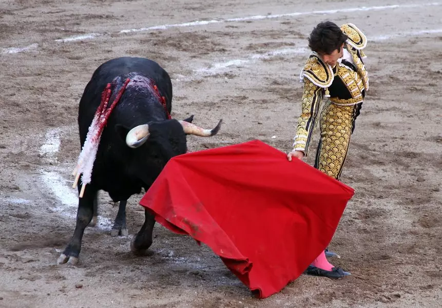 Katika Hispania, kwa mara ya kwanza katika miaka 30, ng'ombe huyo aliuawa matador