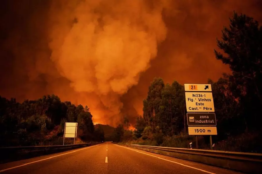 В Португалия, огньовете на безпрецедентни мащаби вилнеят