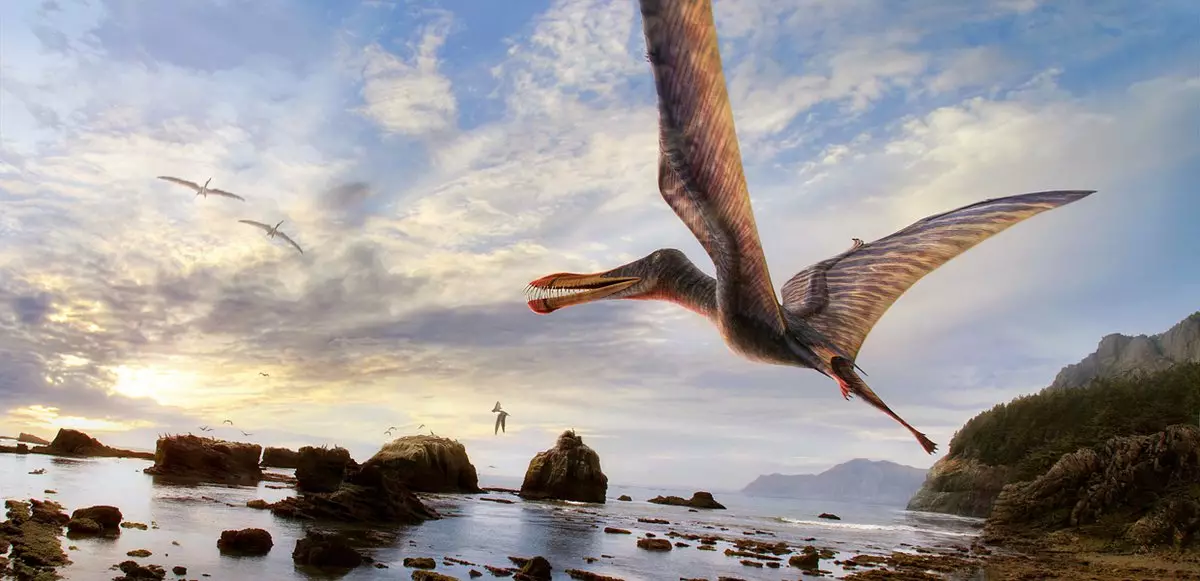 Pterosaurs: ararpe سے پنکھ