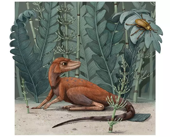 Madagaskar skopra antenat minjatura ta 'dinosawri