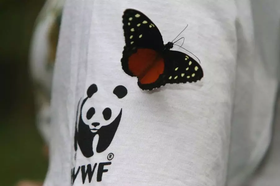 WWF 러시아는 20 세 켜져