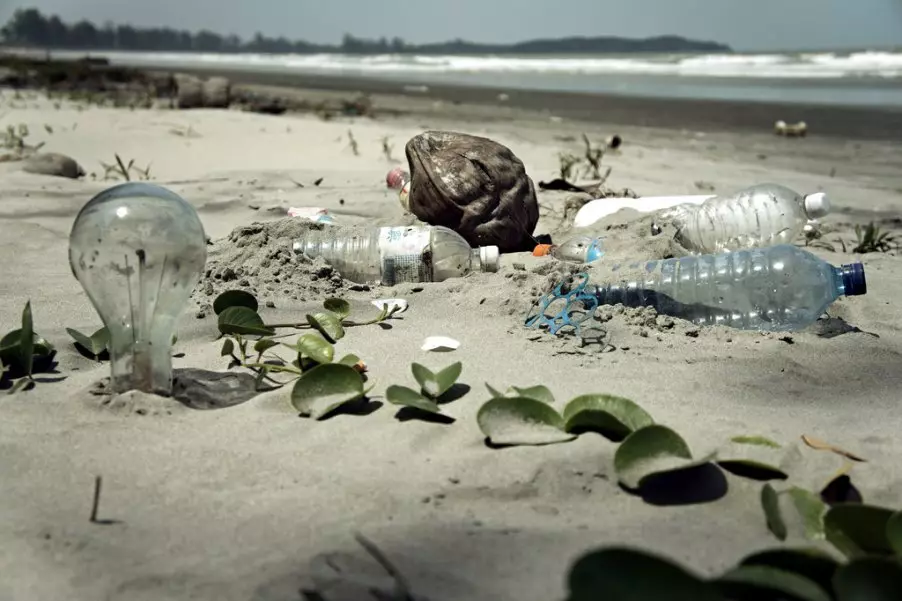 विश्व महासागर लगभग पूरी तरह से प्लास्टिक से दूषित है