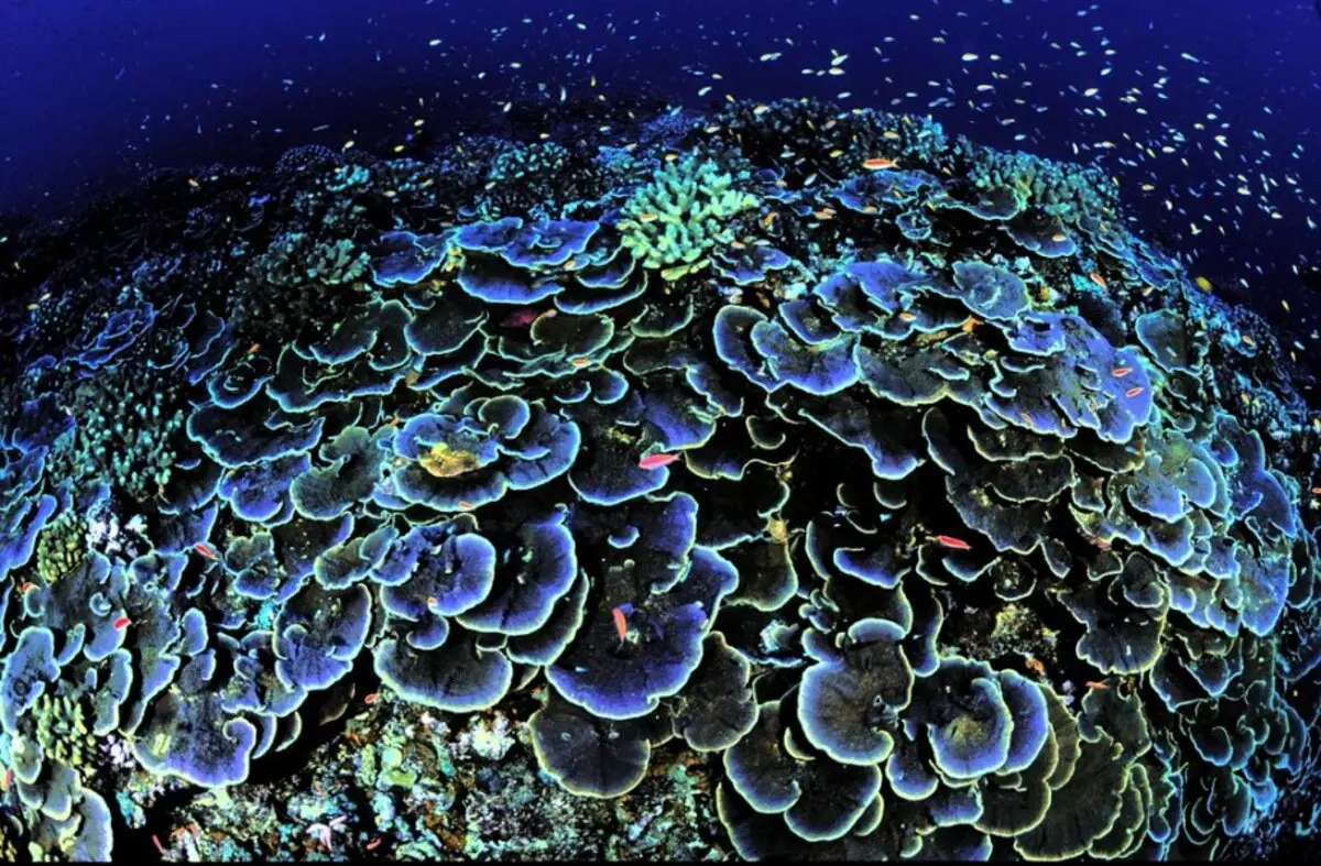 A maior reserva aquosa foi criada no Oceano Pacífico