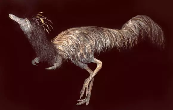 Во Монтан, најде чуден диносаурус со една канџа на шепите