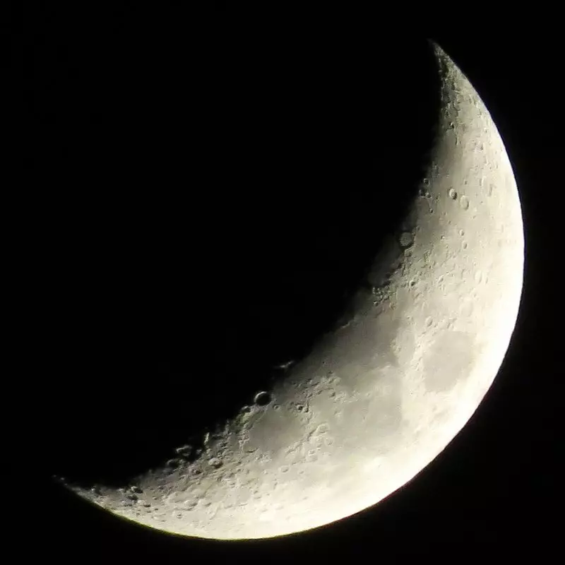 ROSCOSmos planeó el vuelo a la luna.