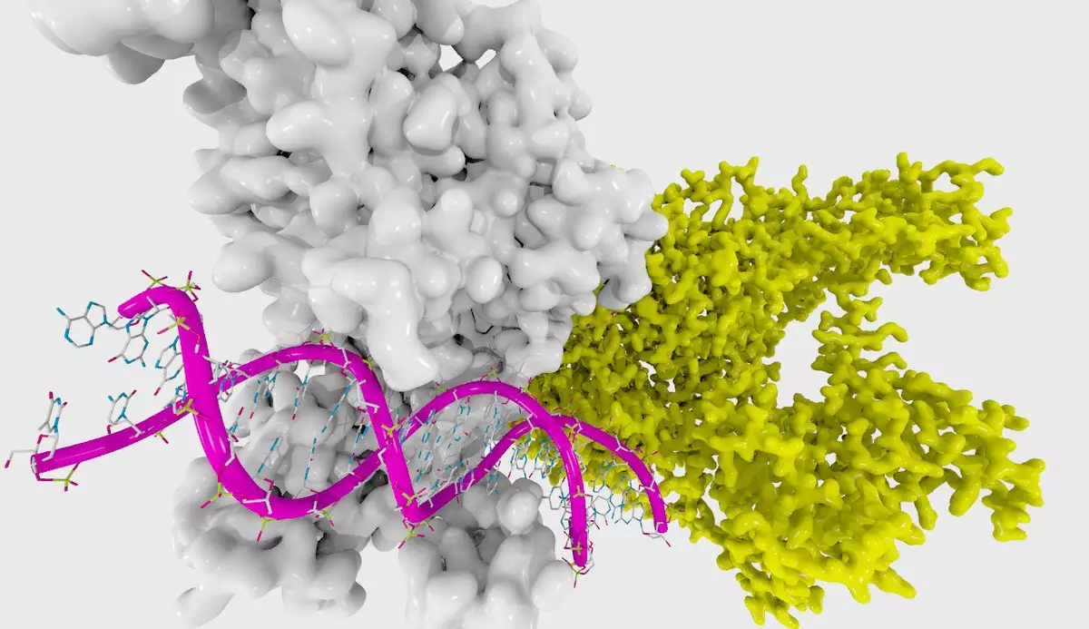 Los científicos chinos cambiaron el genoma humano.