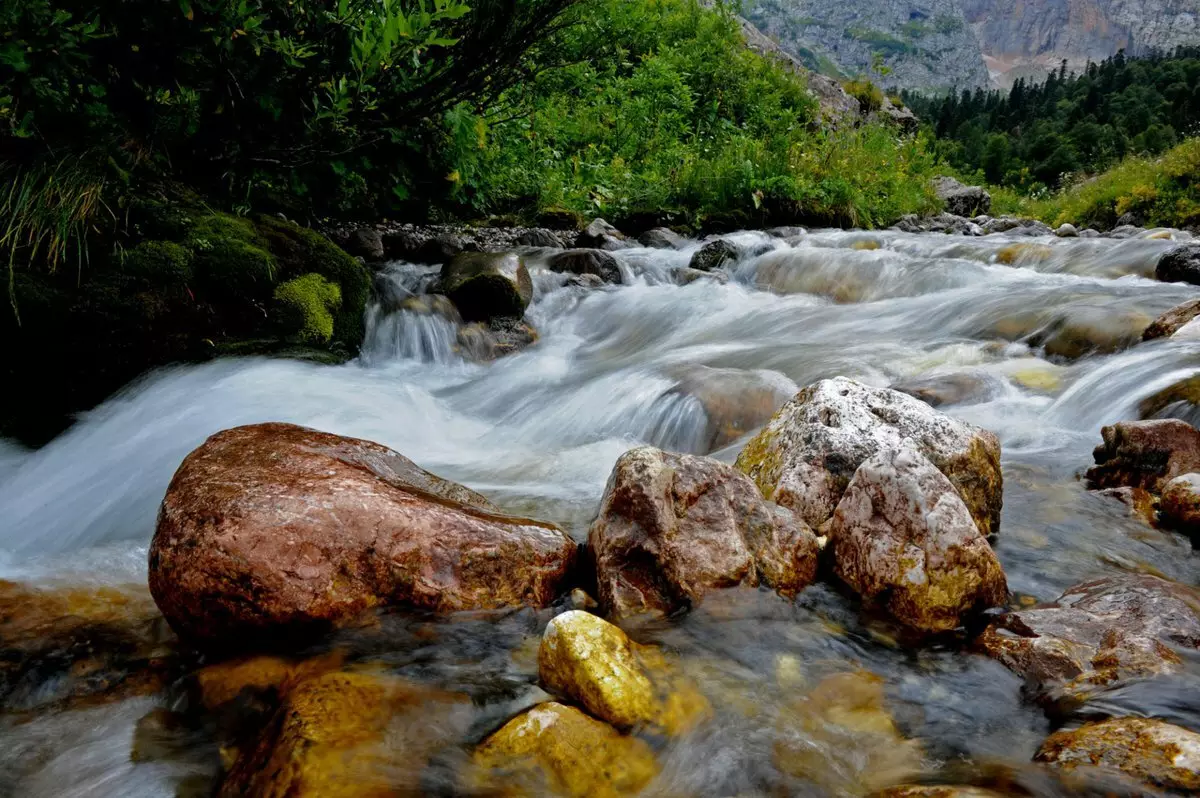 Âm thanh tự nhiên làm tăng năng suất lao động