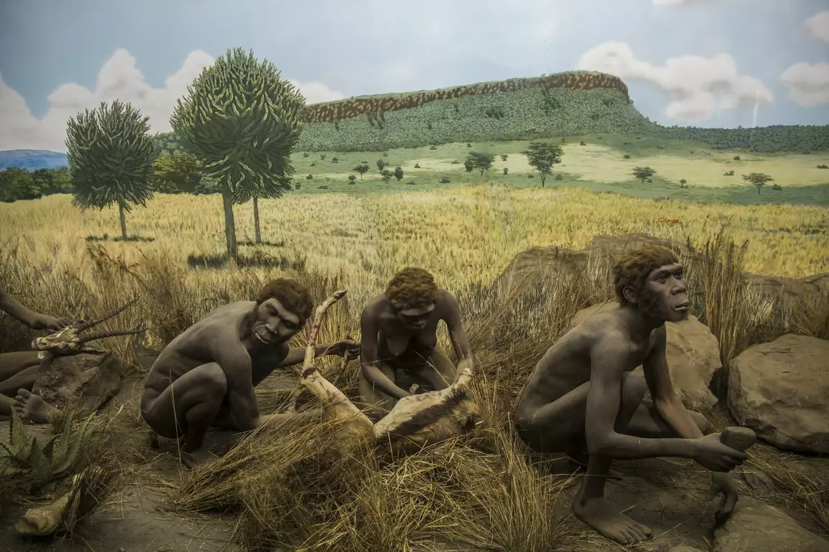 La gente potrebbe imparare a fuoco razza 1600,000 anni fa