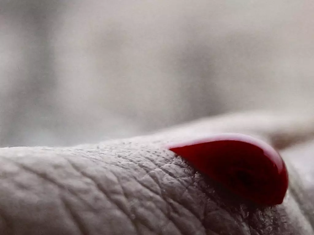 Asmens virusinė istorija galima rasti kraujo laše