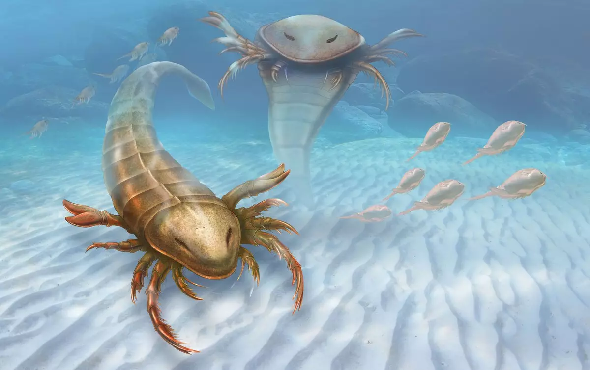 Cel mai vechi scorpion marin găsit în SUA