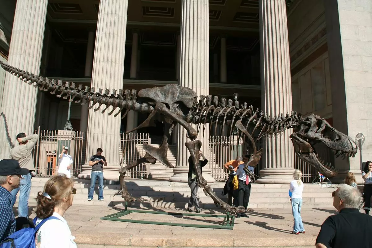 Jedna z najkomplexnejších kostry Tyrantosaura sa predáva pri aukcii