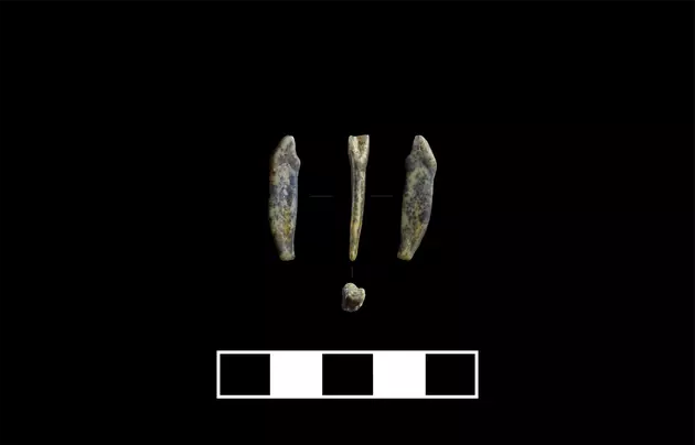 Arkeologan ji berhevoka ji şikefta Chagyst a diranên neandertal û çekên hestî vedihewîne .png