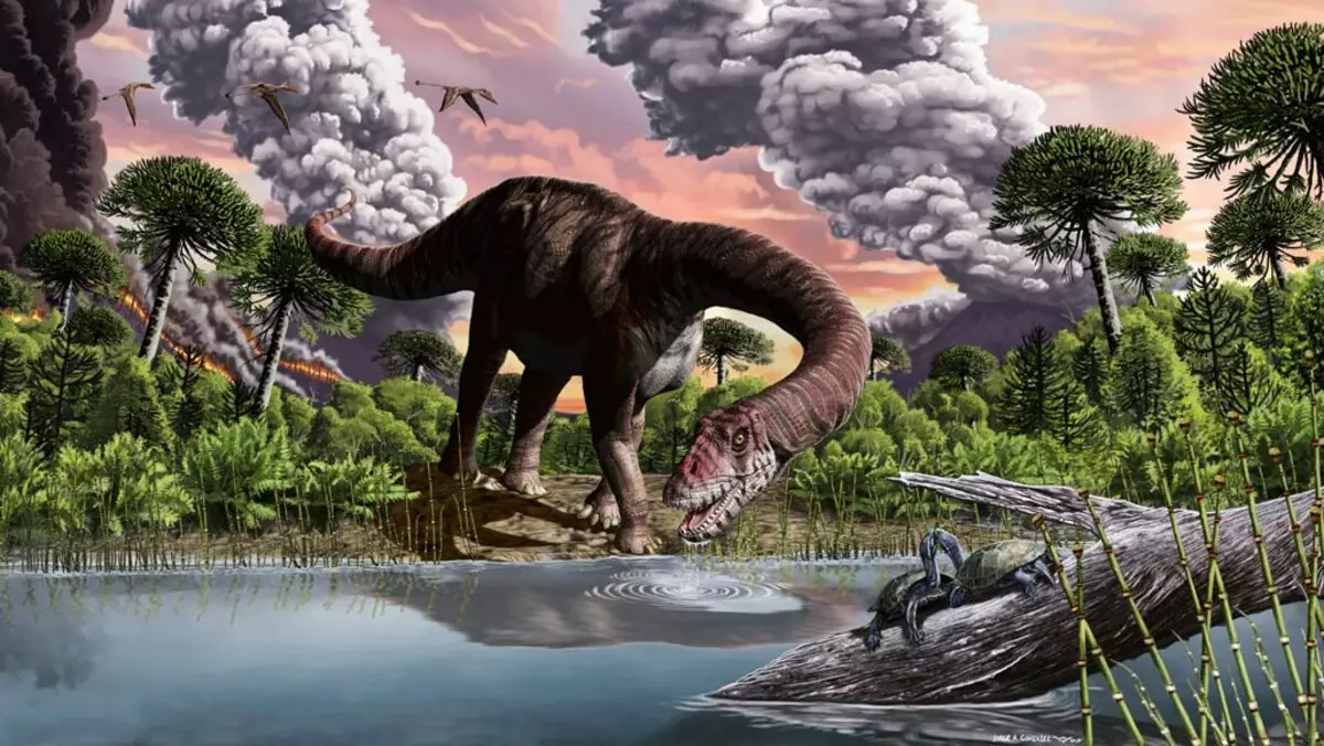Hoe groot lang hare dinosourusse begin reël onder die herbivore van die Jurassic tydperk