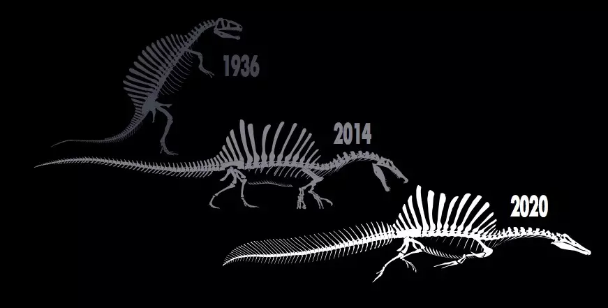 Ny tsy fantatsika momba ny dinosaurs: ny infografika lehibe 300_4