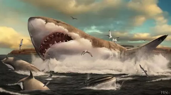 Why died out megalodons?