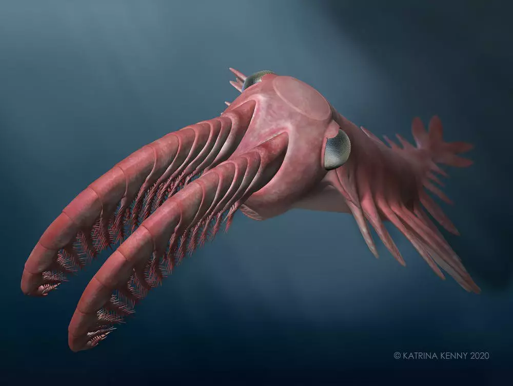 Paleontologis mempelajari mata yang luar biasa dari monster laut yang punah
