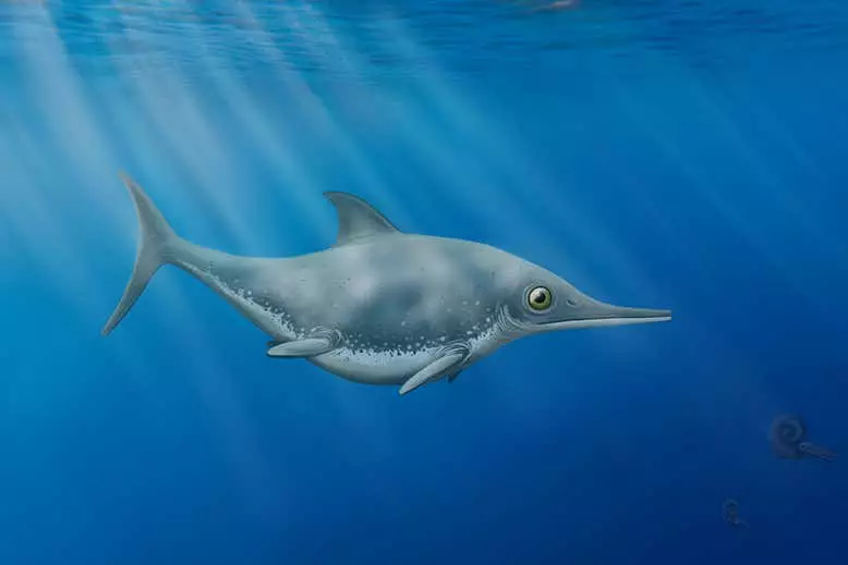 Их Британид далайн гахай, акулын холимог шиг харагдсан Ichthyozaur