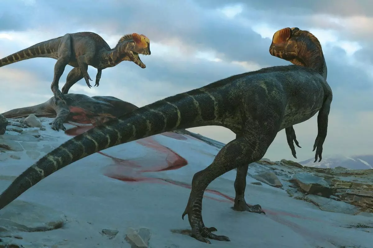 Dilophosaurs.