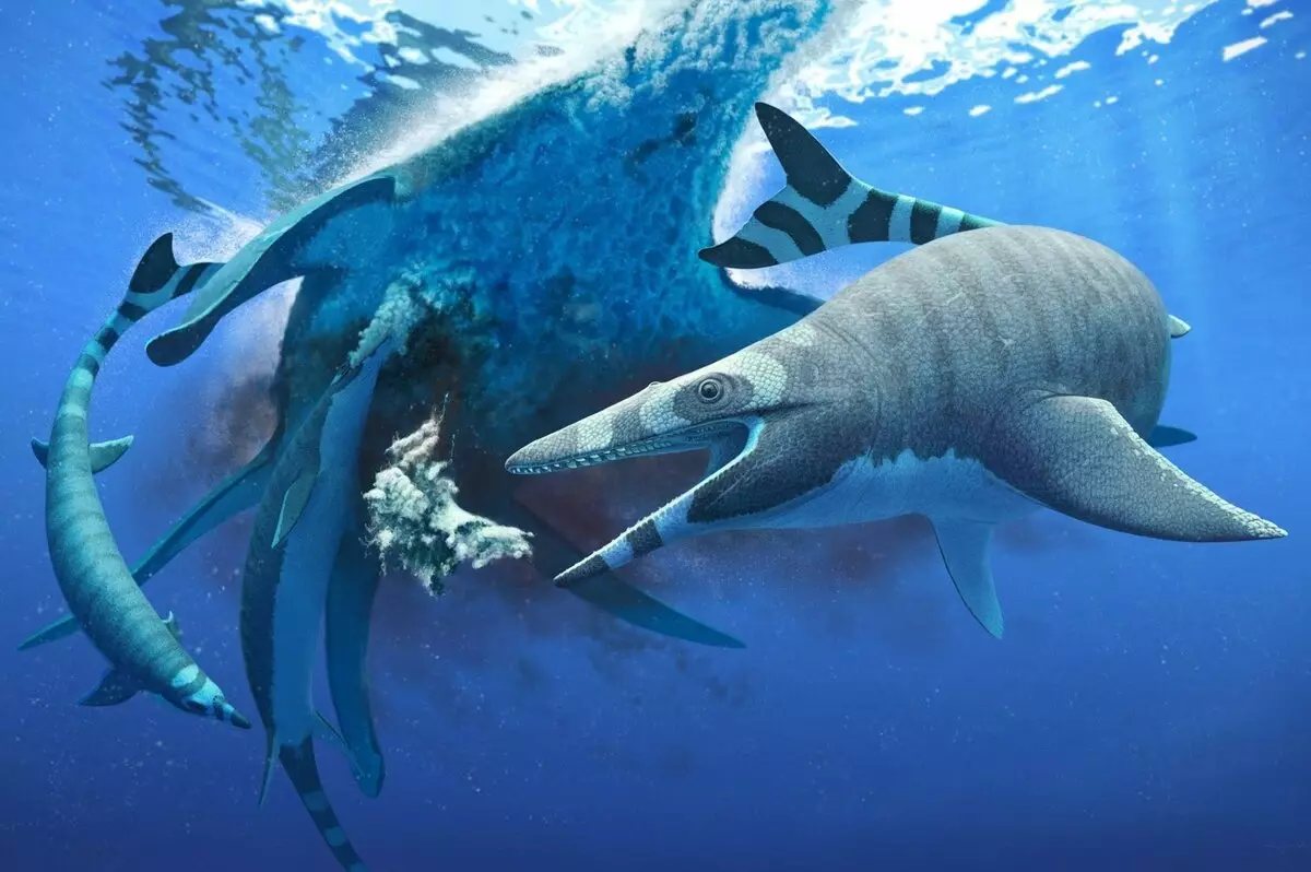 고대의 바다 도마뱀은 상어처럼 이빨을 가지고있었습니다