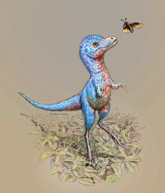 Našel nejvzácnější pozůstatky dětí-tyransaurů