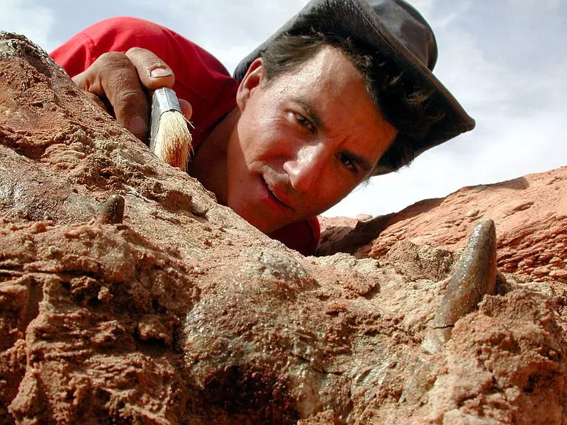 Gli scienziati brasiliani riscrivono la storia del dinosauro