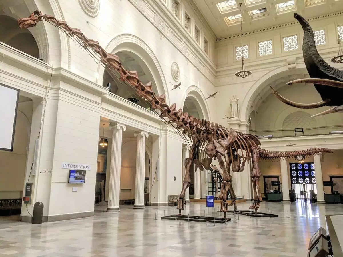 A Argentina descobert l'antiga Titanosaurus