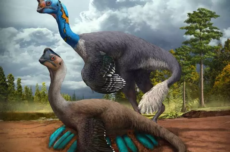 Unikátní fosilie dinosaurů nad zdivem vajec
