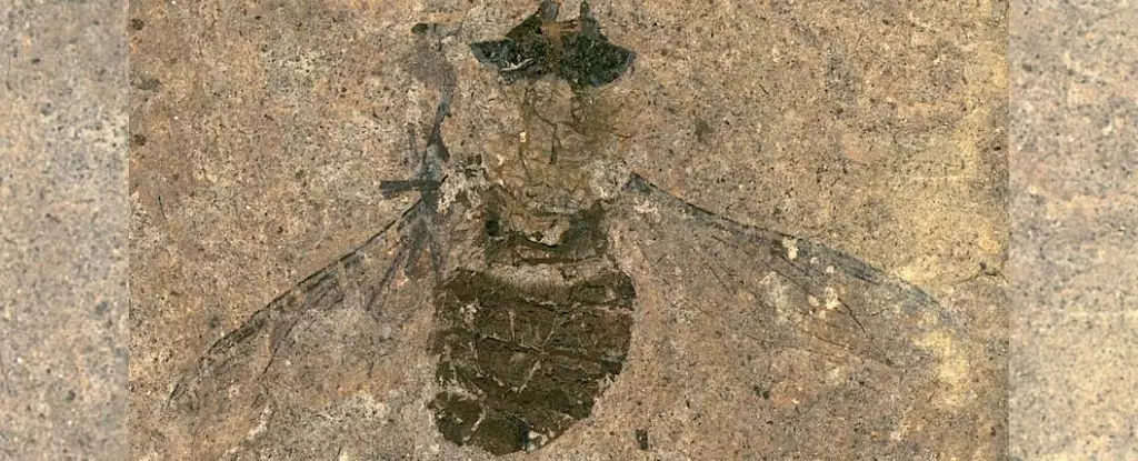 محتويات المعدة من الذباب لأول مرة درس عصر من 47 مليون سنة